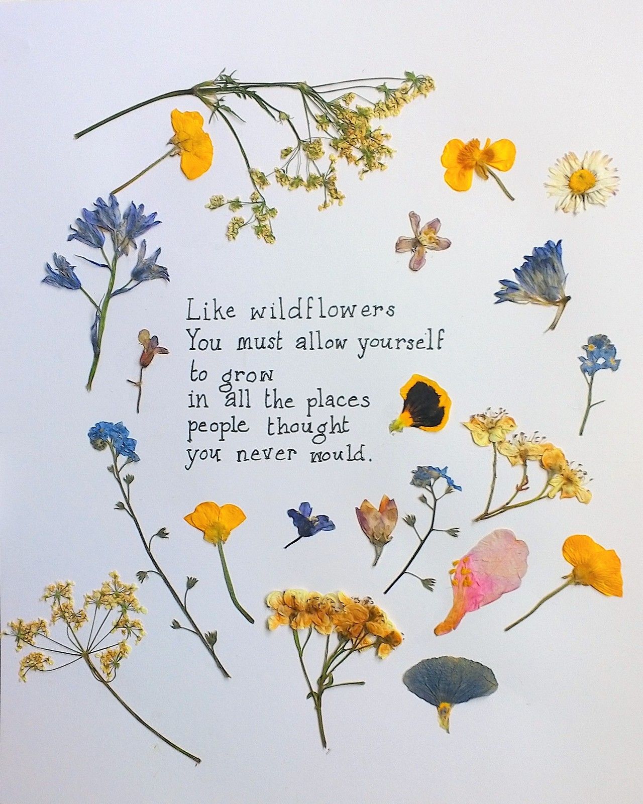 Wildflower – The Compassionate Gardener